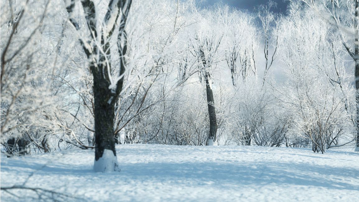 iTrees vol.3 Winter